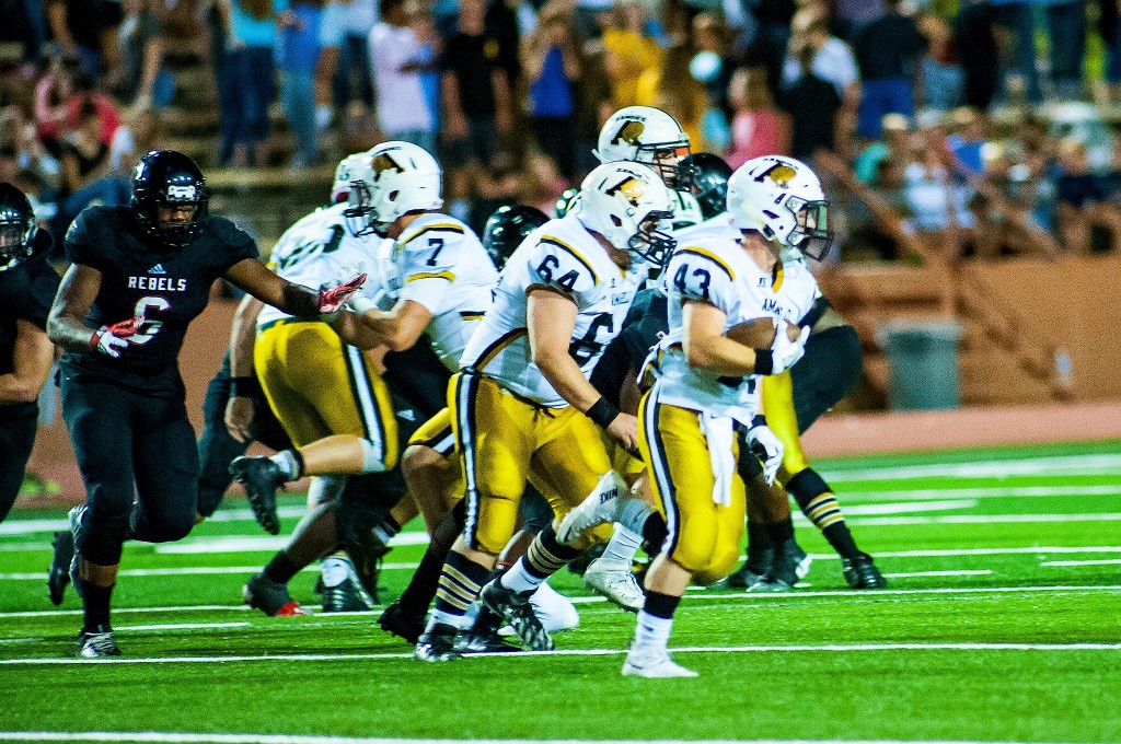 Amarillo - Team Home Amarillo Sandies Sports