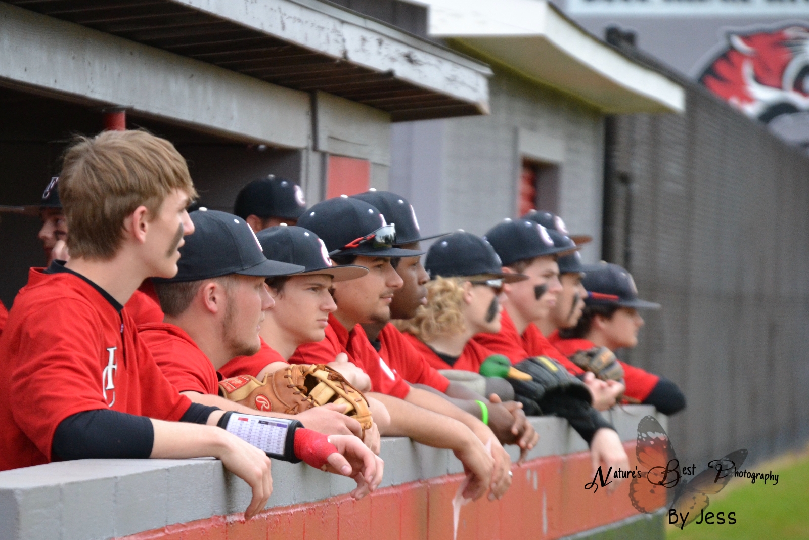 Fox Creek - Team Home Fox Creek Predators Sports