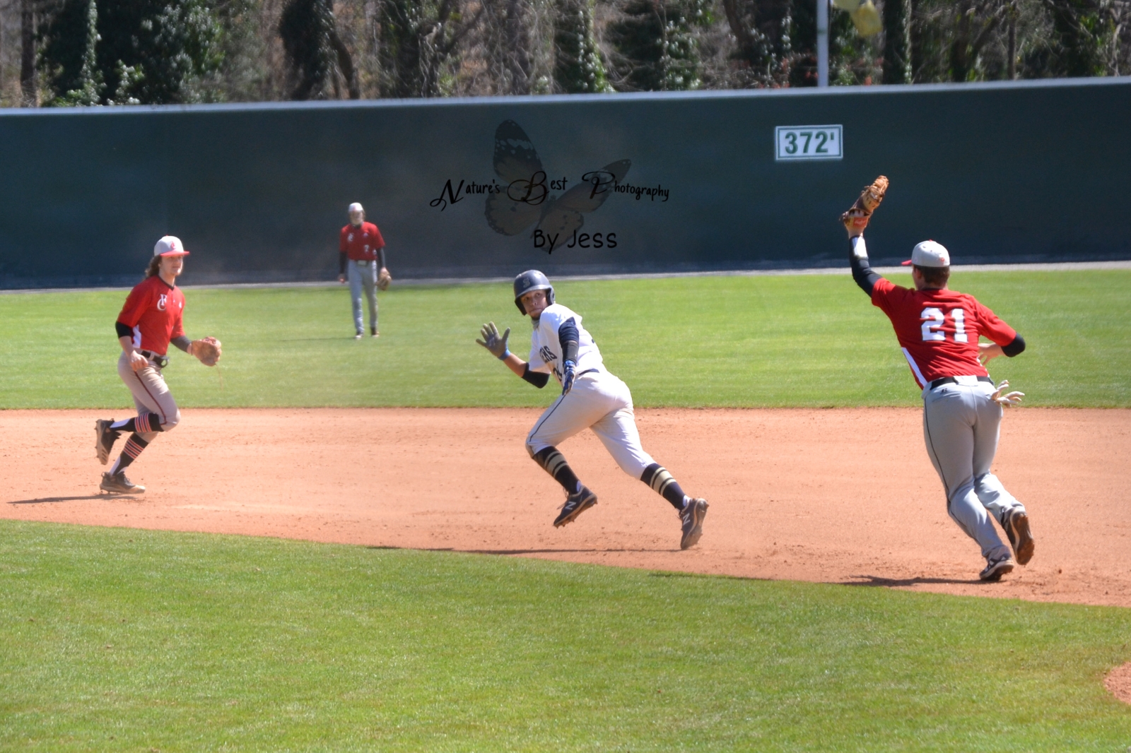 Fox Creek - Team Home Fox Creek Predators Sports