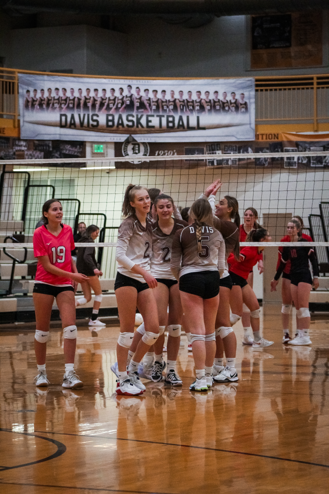 Davis - Team Home Davis Darts Sports