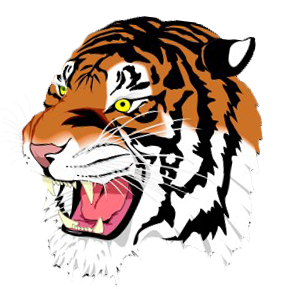 Fort Recovery High School - Indians Official Athletic Website