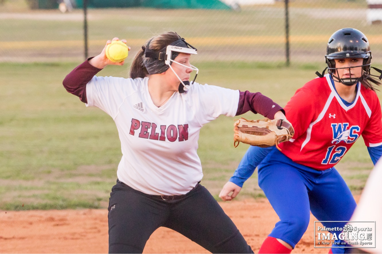 Pelion - Team Home Pelion Panthers Sports
