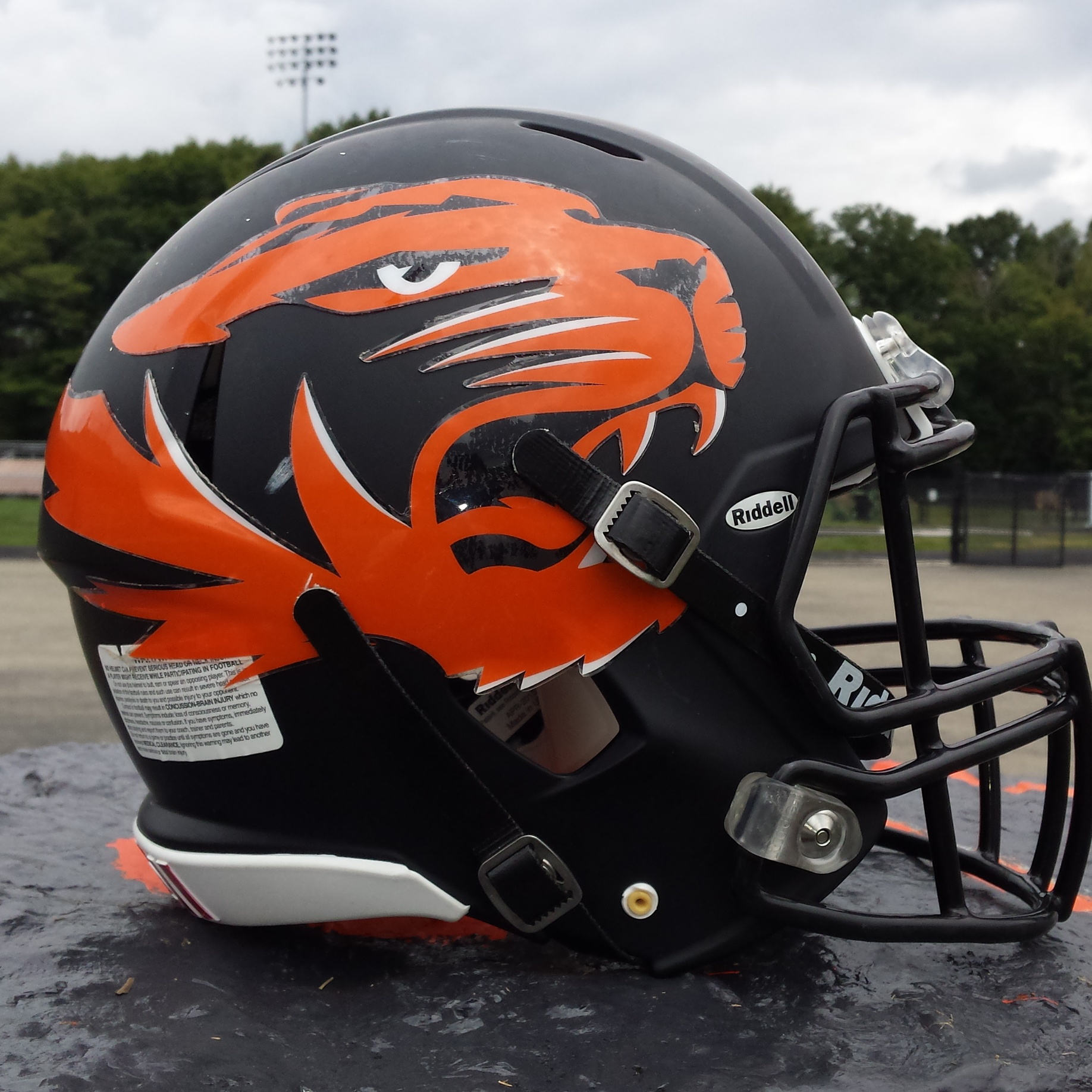 Springfield Local - Team Home Springfield Local Tigers Sports
