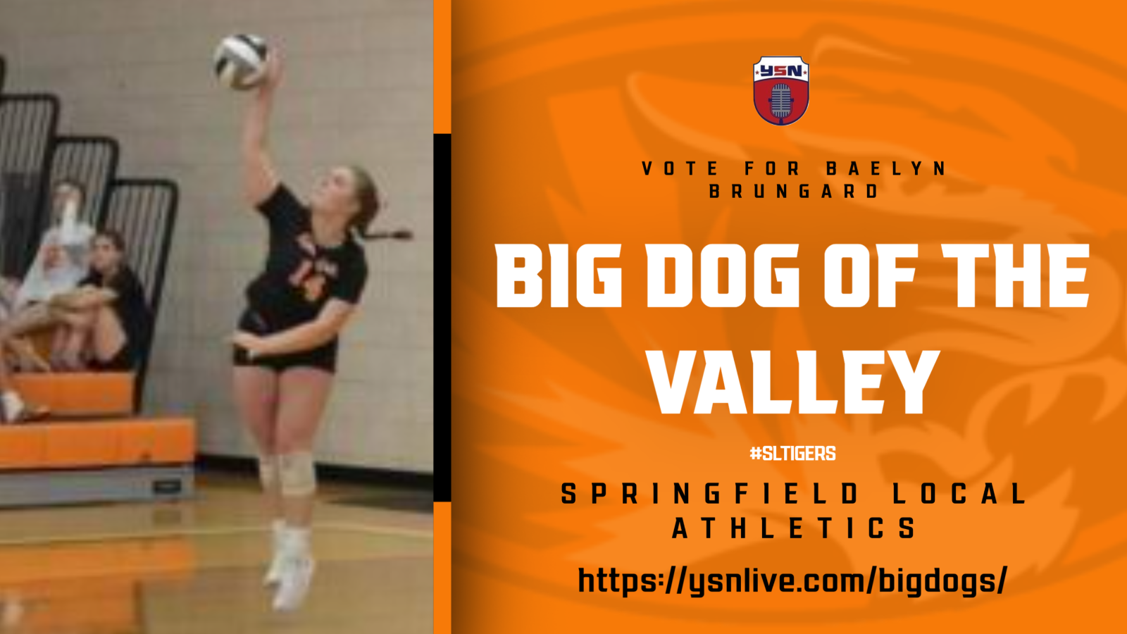 Springfield Local - Team Home Springfield Local Tigers Sports