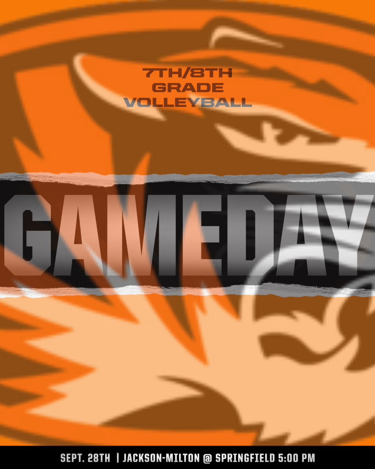 Springfield Local - Team Home Springfield Local Tigers Sports