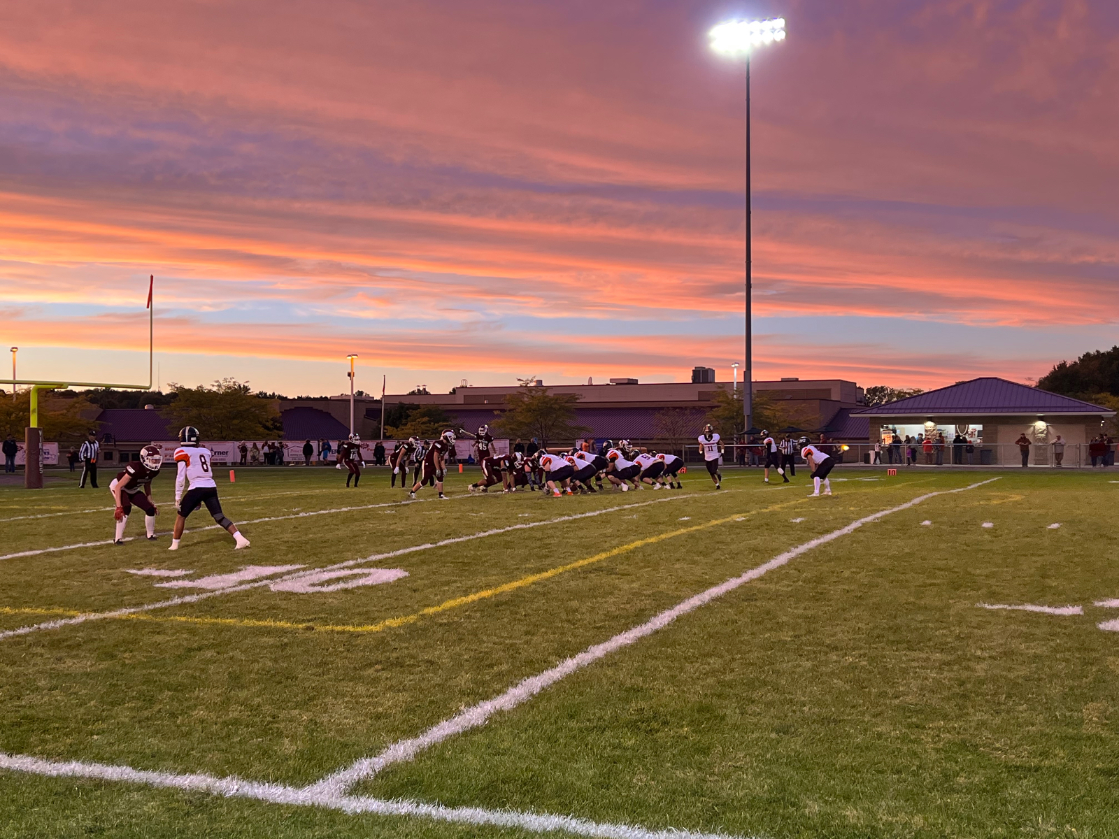 Springfield Local - Team Home Springfield Local Tigers Sports