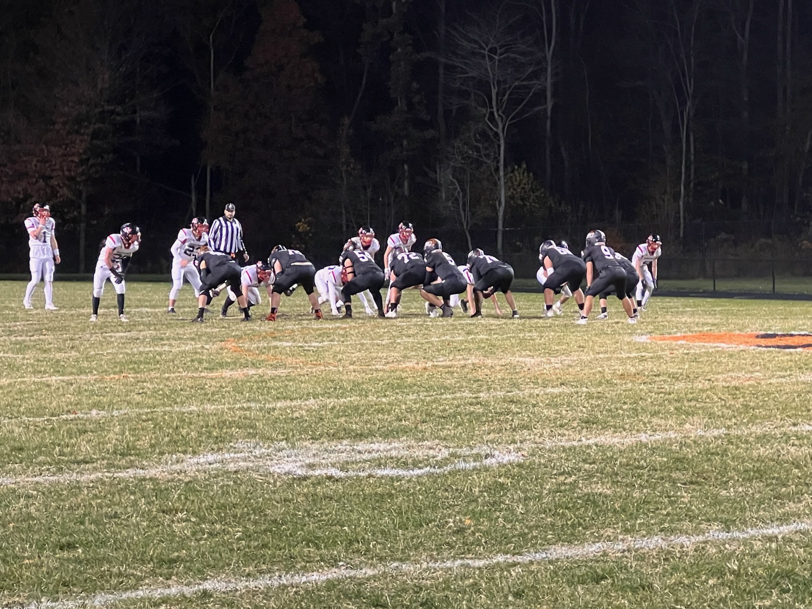 Springfield Local - Team Home Springfield Local Tigers Sports