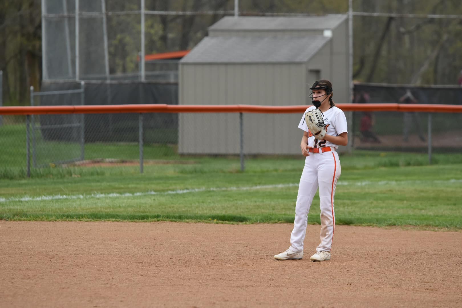 Springfield Local - Team Home Springfield Local Tigers Sports