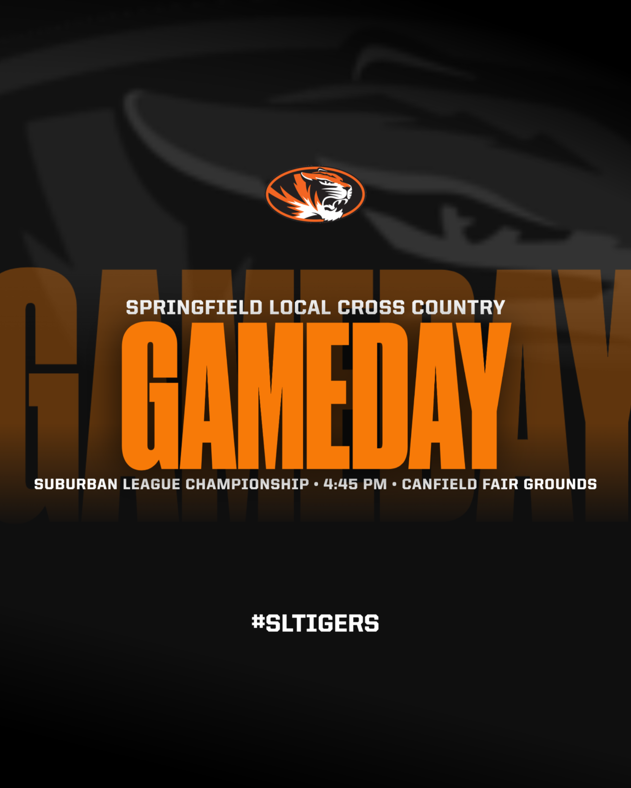 Springfield Local - Team Home Springfield Local Tigers Sports
