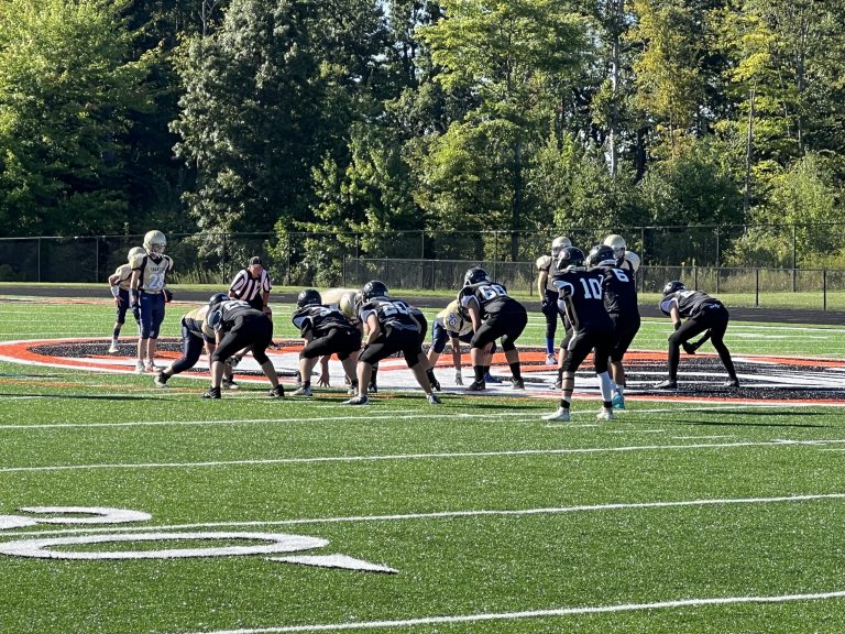 Springfield Local - Team Home Springfield Local Tigers Sports