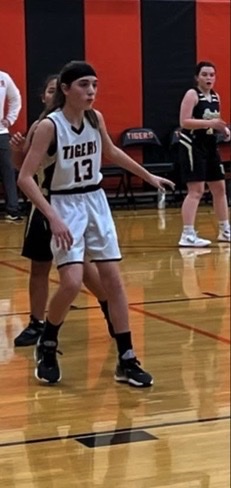 Springfield Local - Team Home Springfield Local Tigers Sports