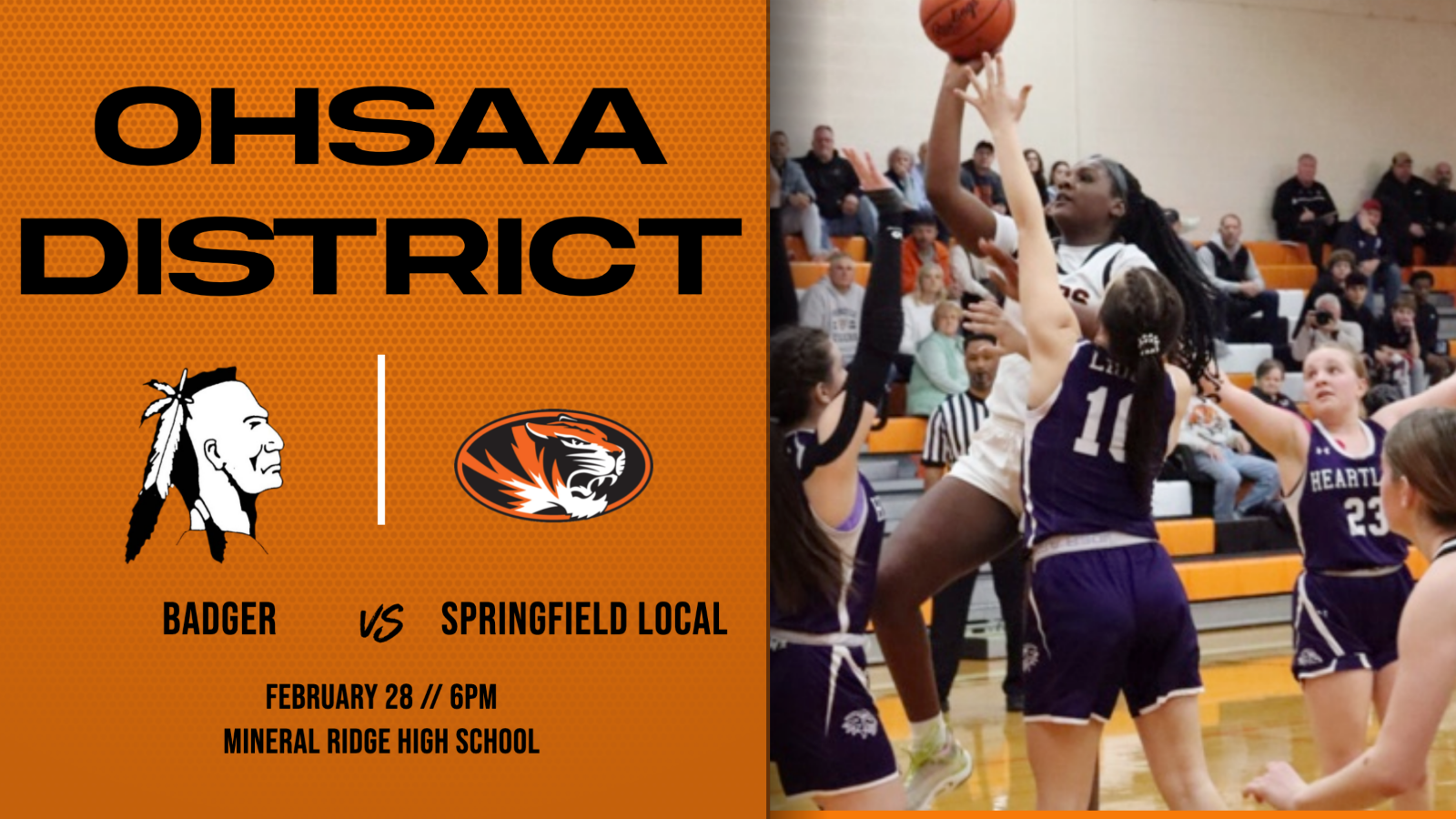 Springfield Local - Team Home Springfield Local Tigers Sports