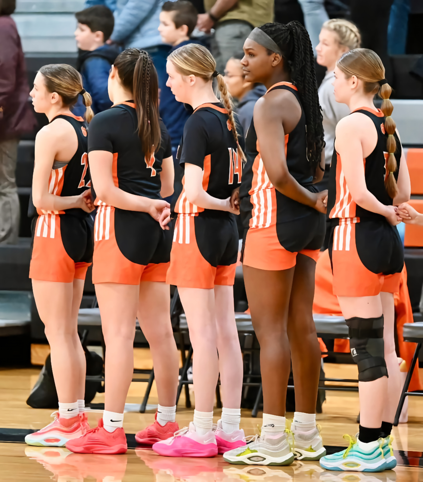 Springfield Local - Team Home Springfield Local Tigers Sports