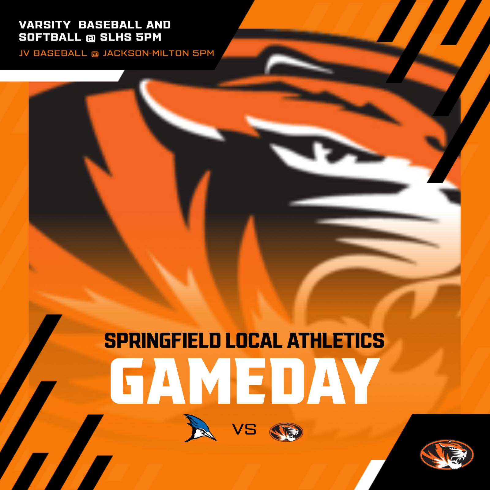 Springfield Local - Team Home Springfield Local Tigers Sports