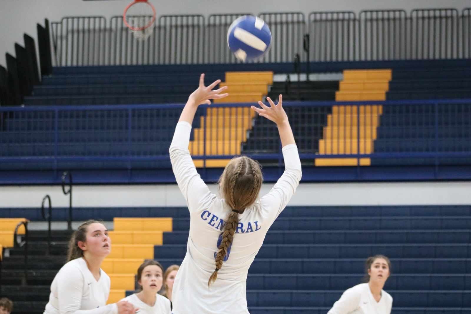 Wilson Central - Team Home Wilson Central Wildcats Sports