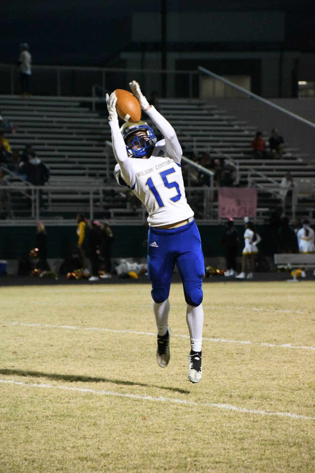 Wilson Central - Team Home Wilson Central Wildcats Sports