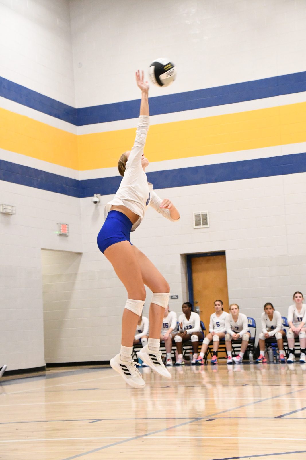 Wilson Central - Team Home Wilson Central Wildcats Sports
