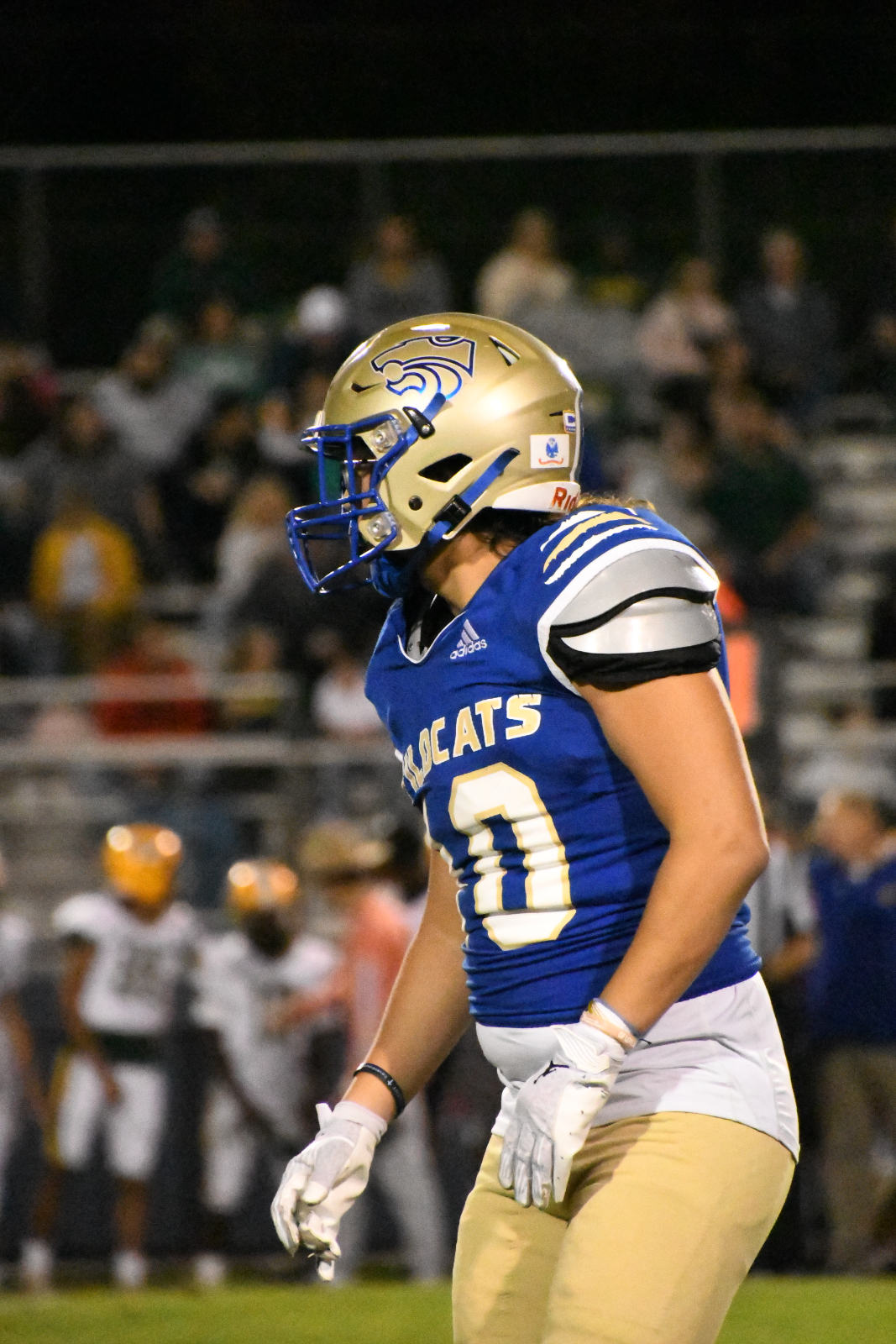 Wilson Central - Team Home Wilson Central Wildcats Sports