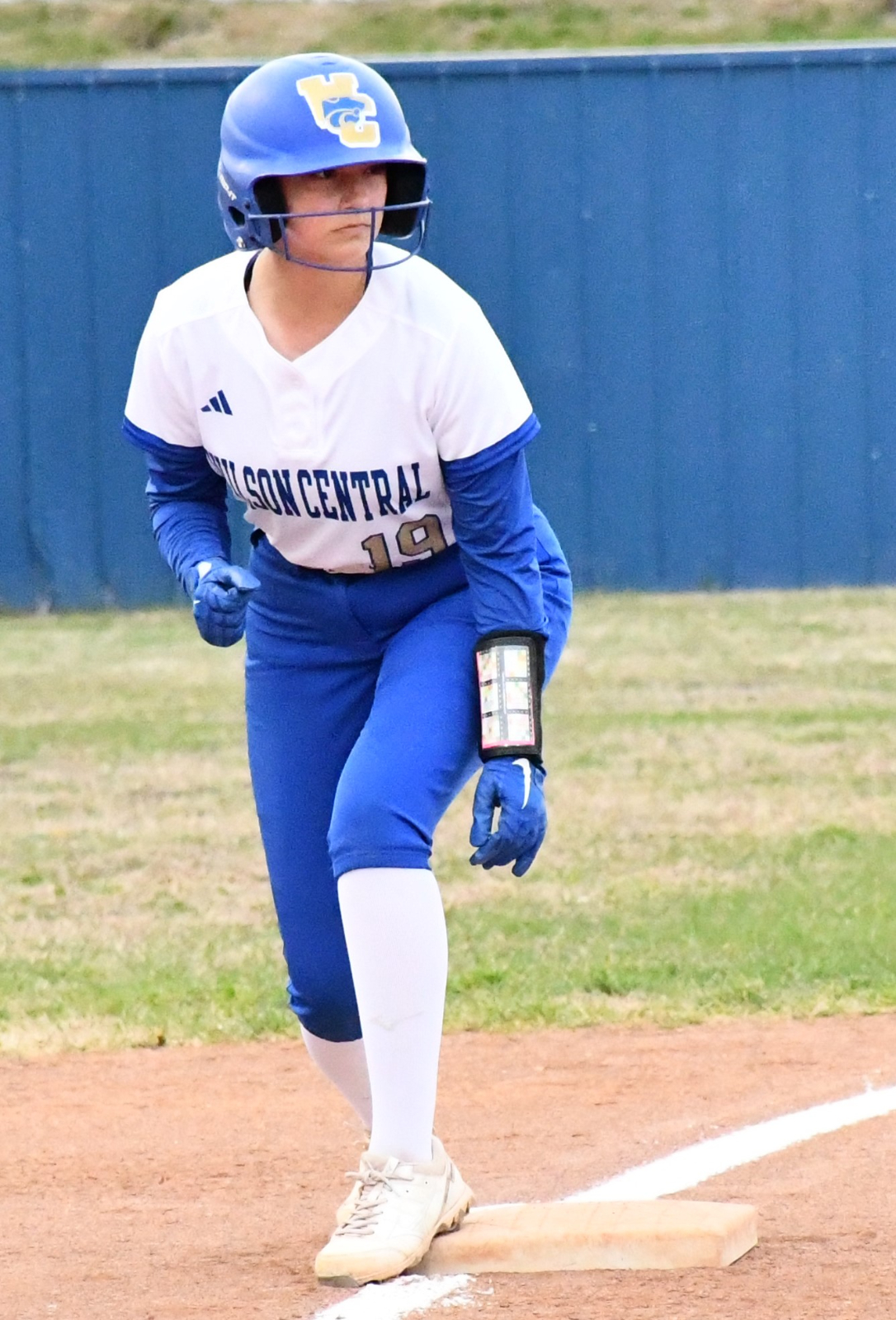 Wilson Central - Team Home Wilson Central Wildcats Sports