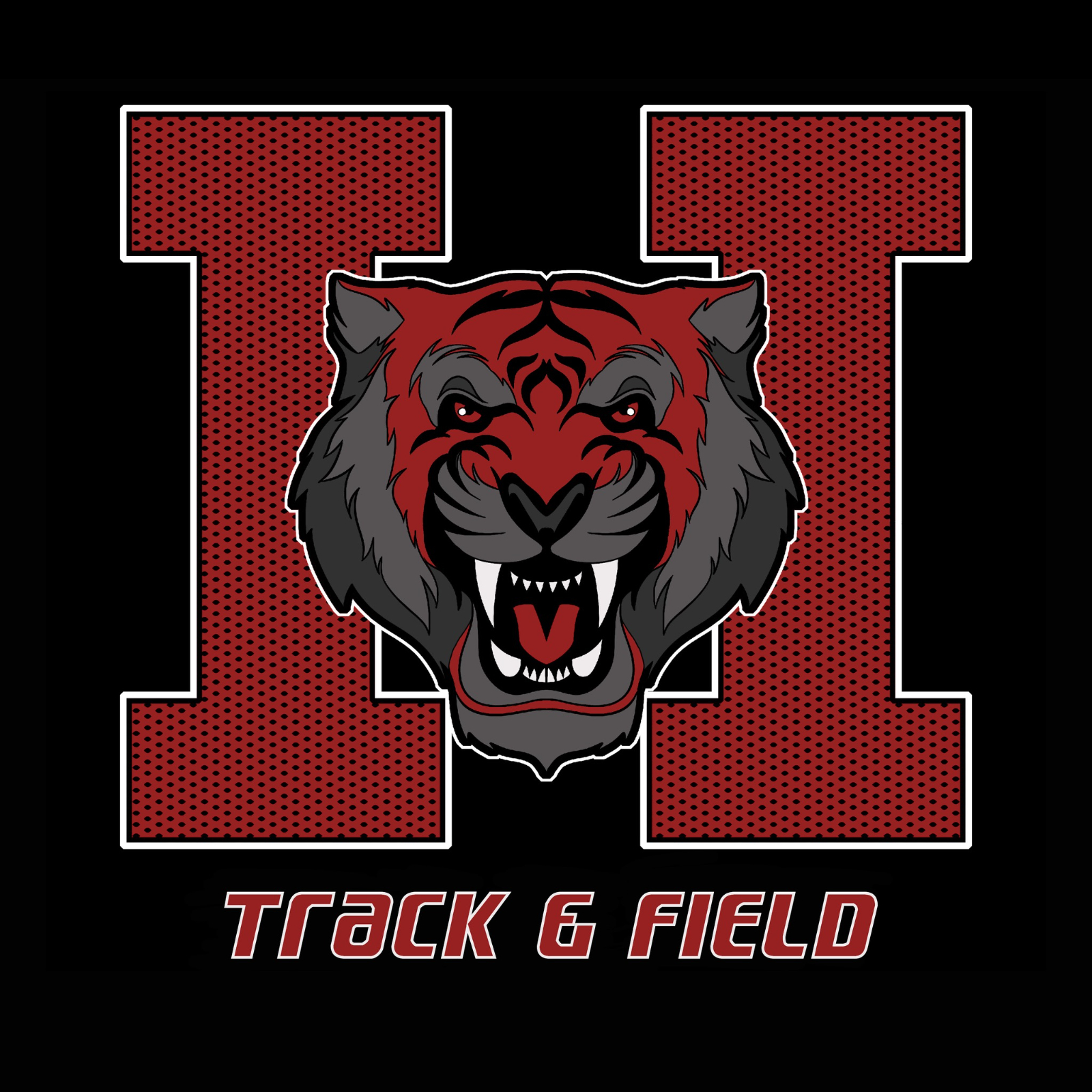 Huron - Team Home Huron Tigers Sports