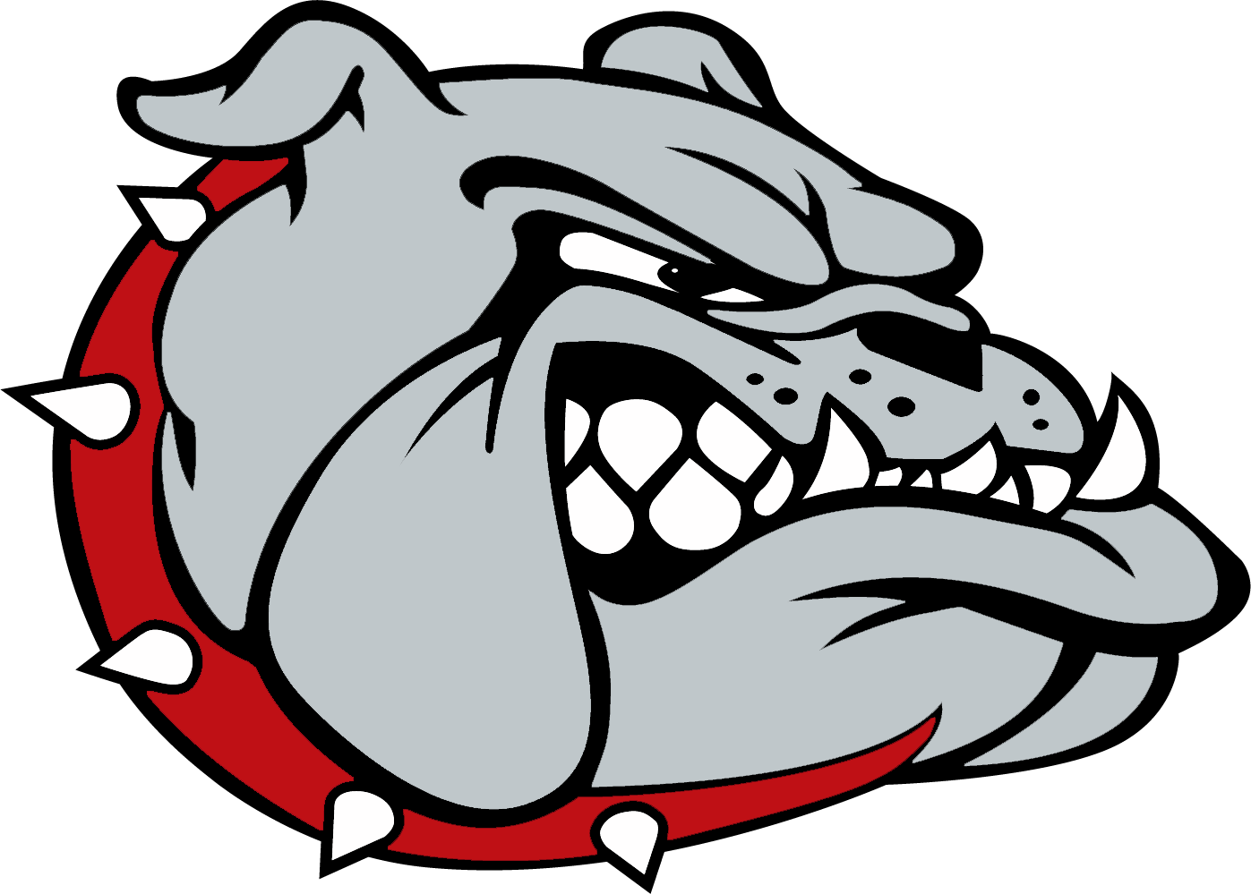 Schedule | Skyview High School