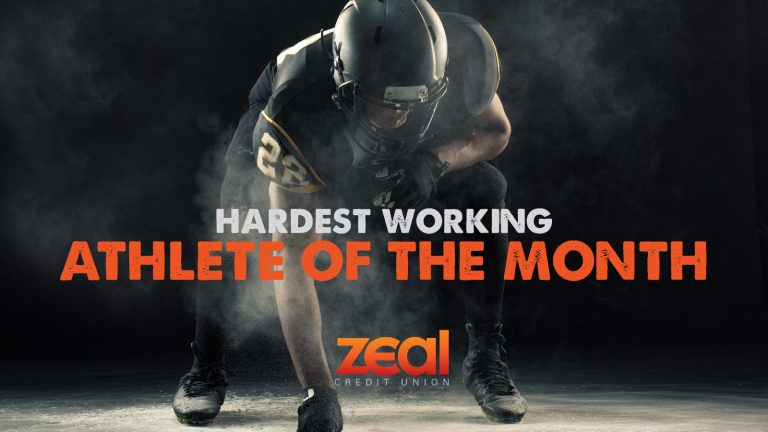 Novi Wildcats - Official Athletic Website – Novi, MI