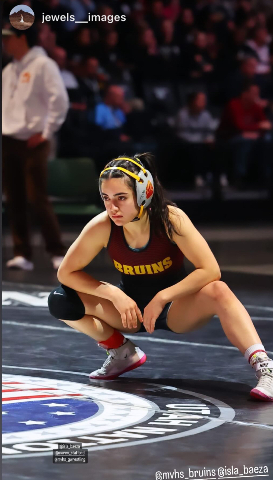 Mountain View - Team Home Mountain View Bruins Sports