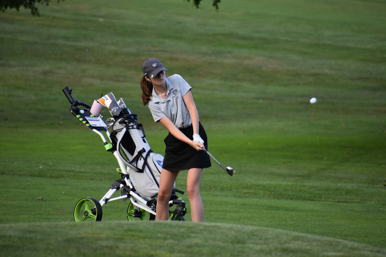 Michigan City - Team Home Michigan City Wolves Sports