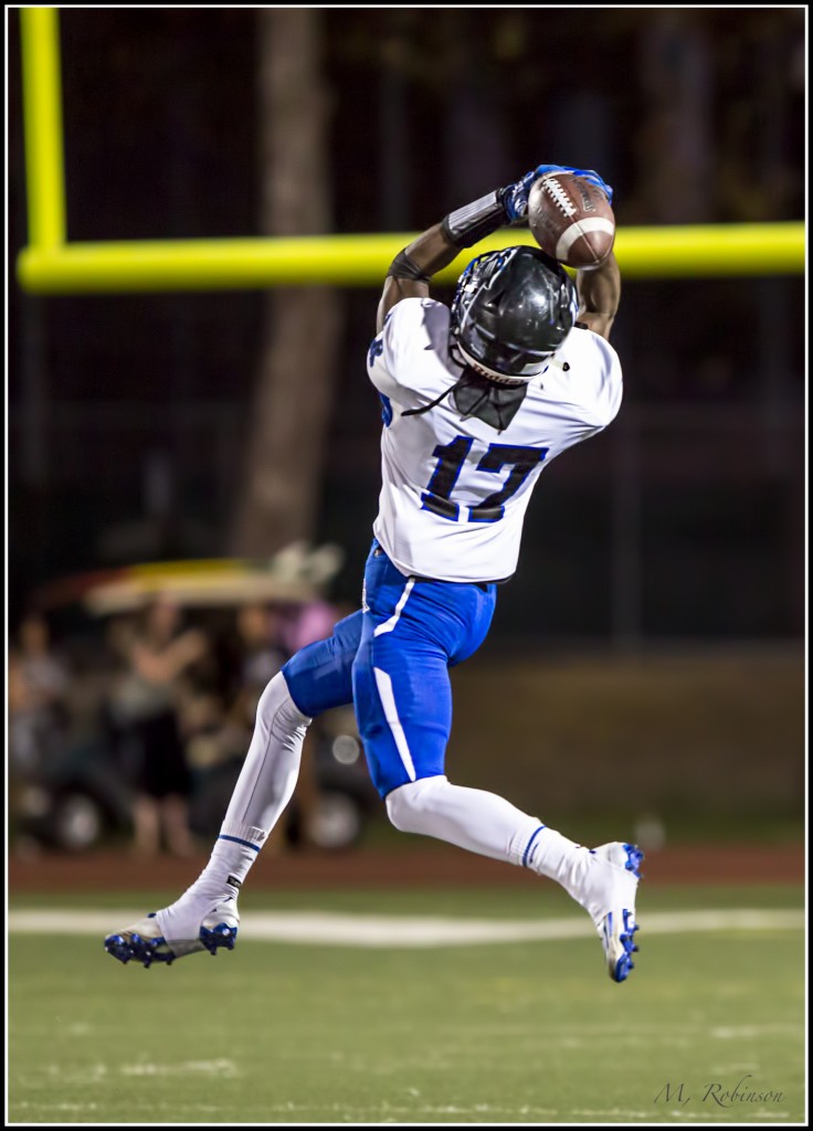 Diamond Ranch - Team Home Diamond Ranch Panthers Sports