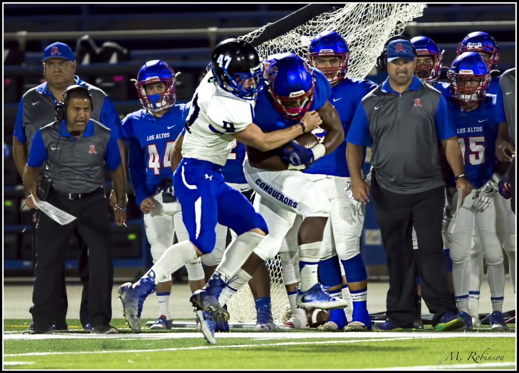 Diamond Ranch - Team Home Diamond Ranch Panthers Sports