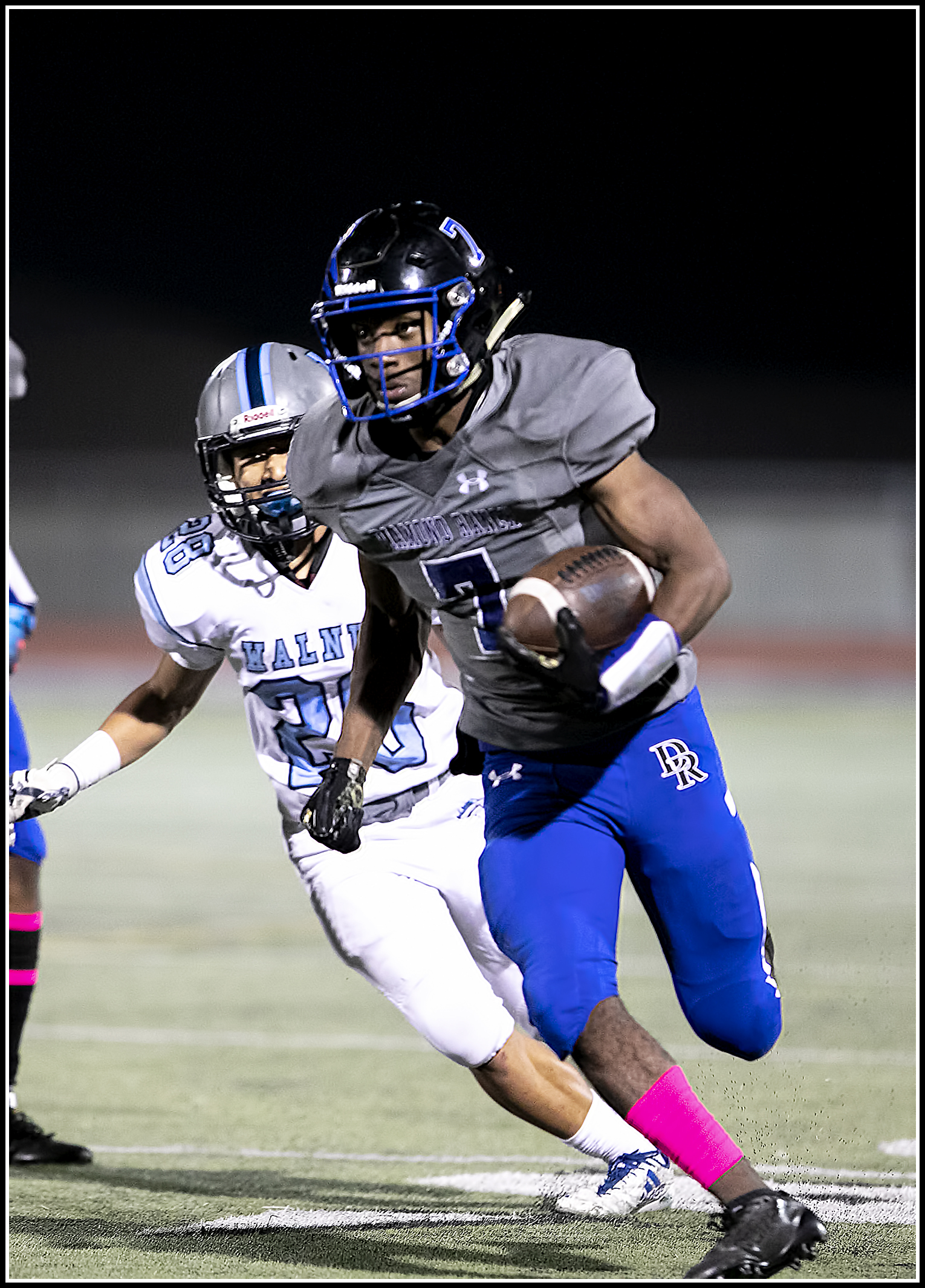 Diamond Ranch - Team Home Diamond Ranch Panthers Sports