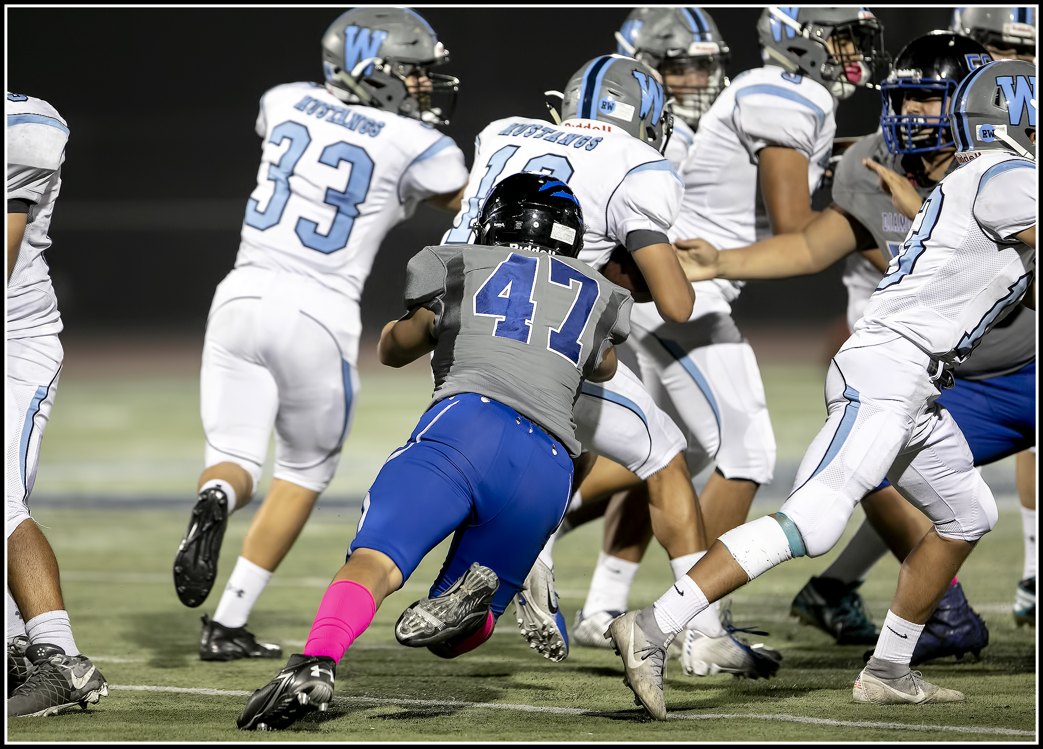 Diamond Ranch - Team Home Diamond Ranch Panthers Sports