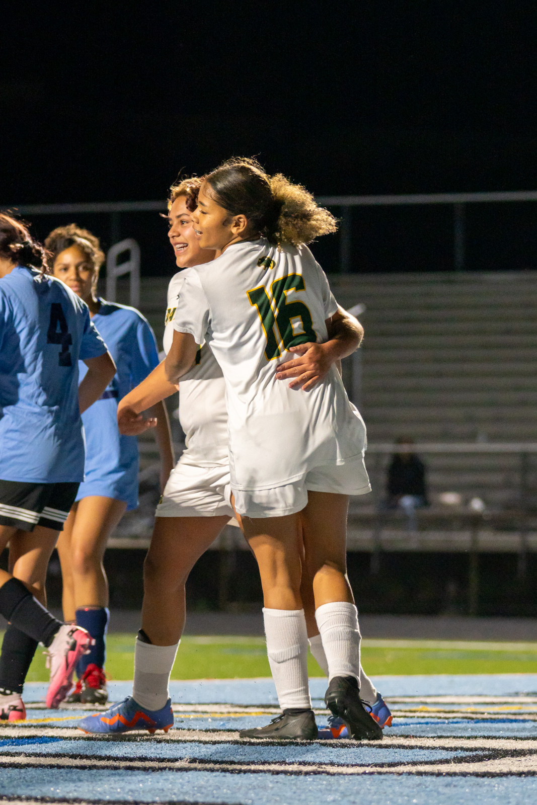 Parkdale - Team Home Parkdale Panthers Sports