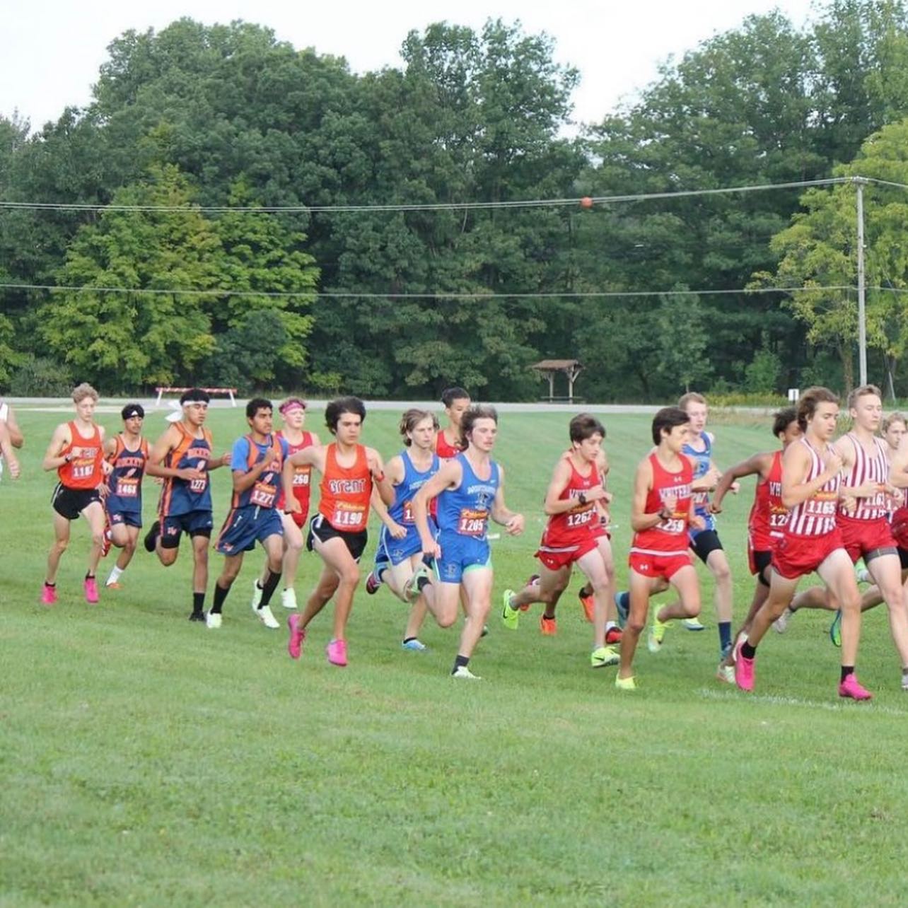 Montague - Team Home Montague Wildcats Sports