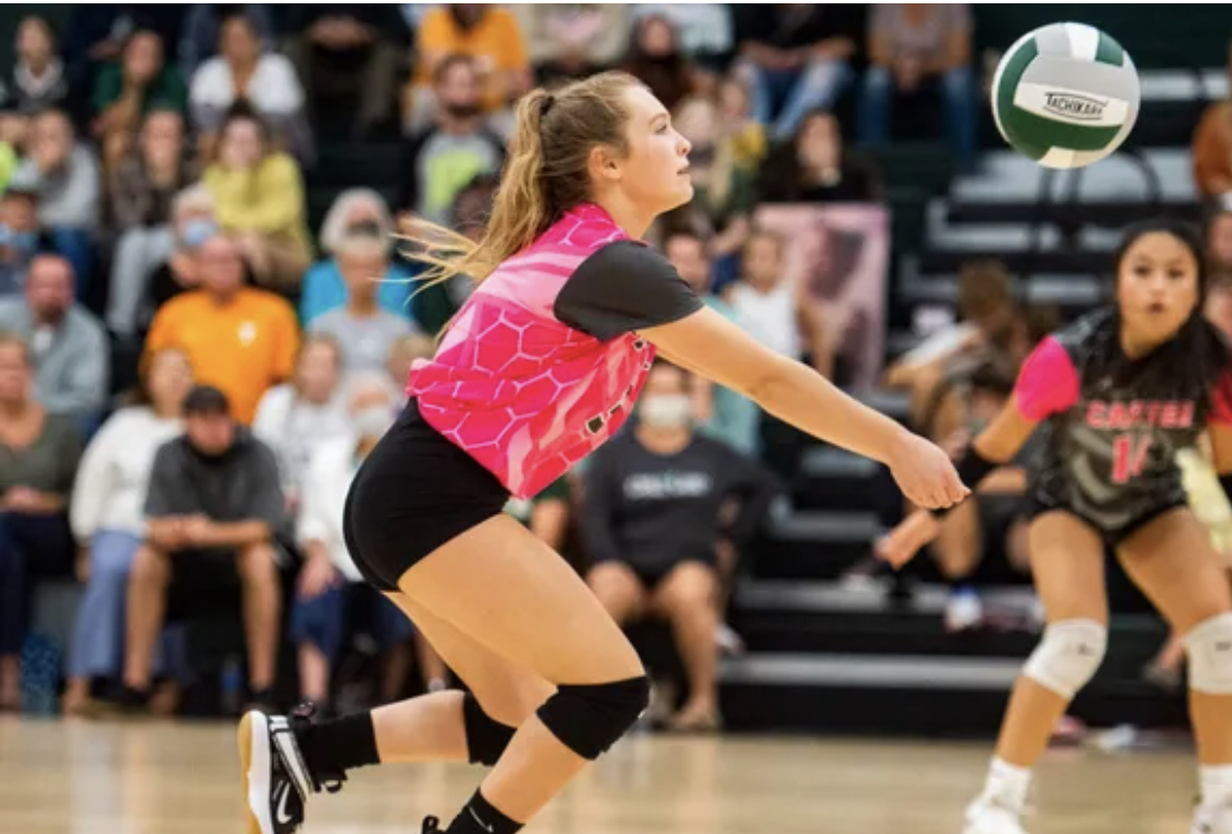 Carter Hornets Athletics - Team Home Carter Hornets Athletics Hornets ...