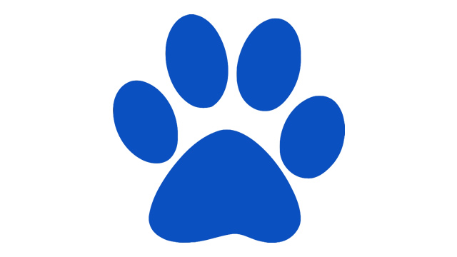 Springfield - Team Home Springfield Bulldogs Sports