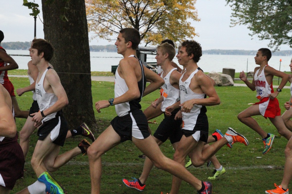 Western - Team Home Western Panthers Sports