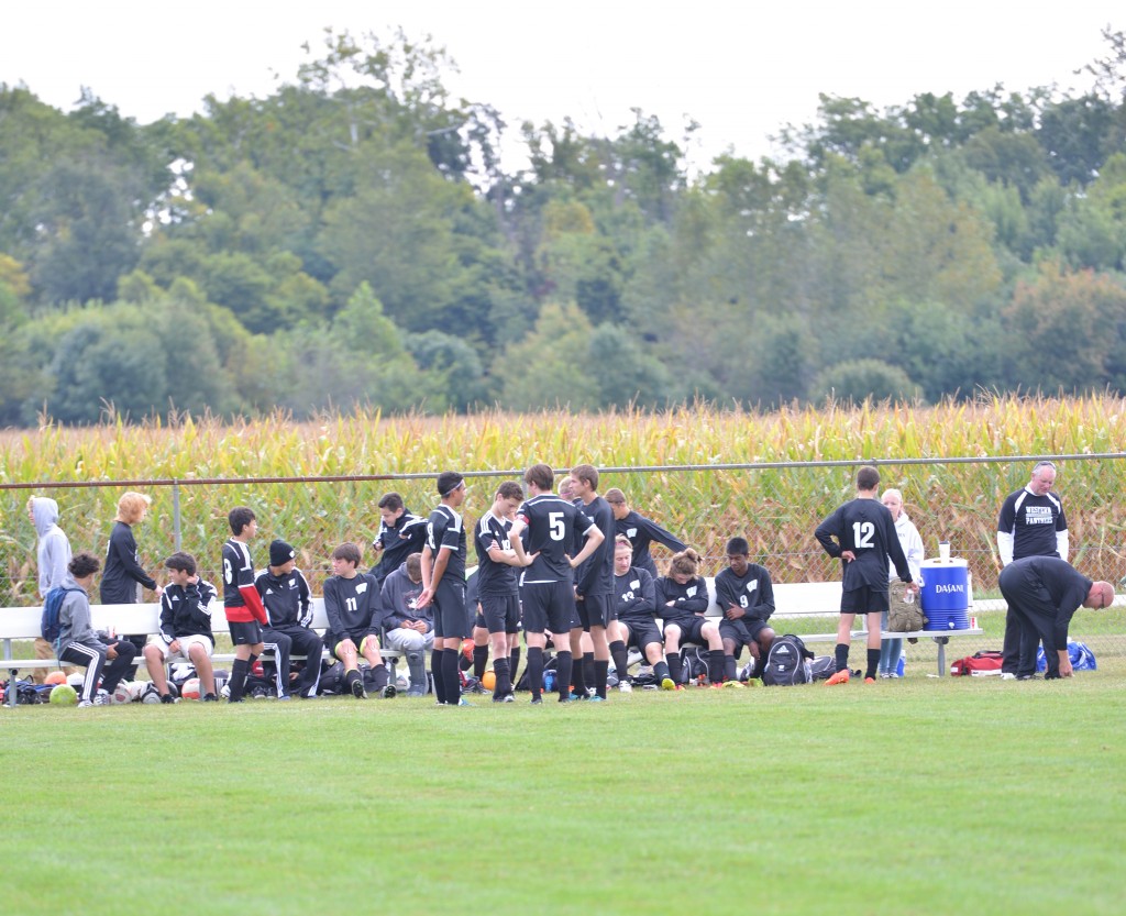 Western - Team Home Western Panthers Sports