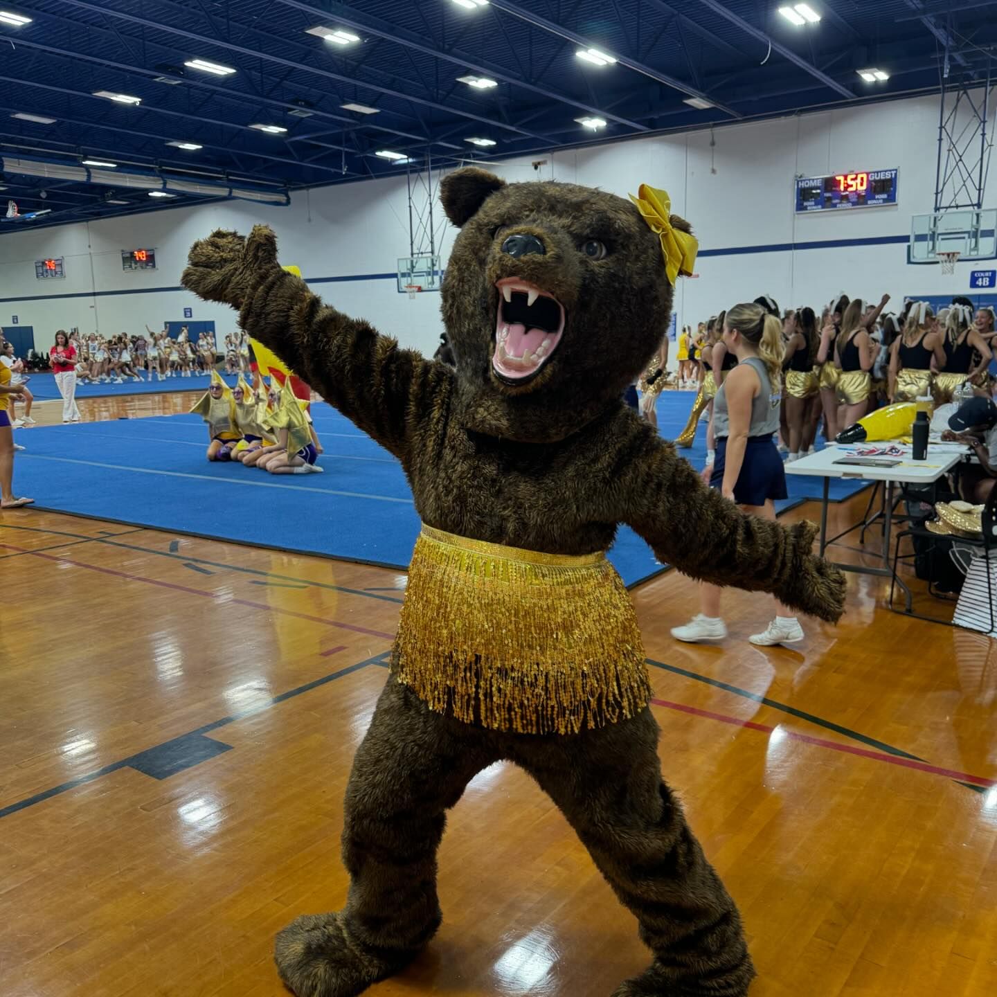 Mount Juliet Senior - Team Home Mount Juliet Senior Bears Sports