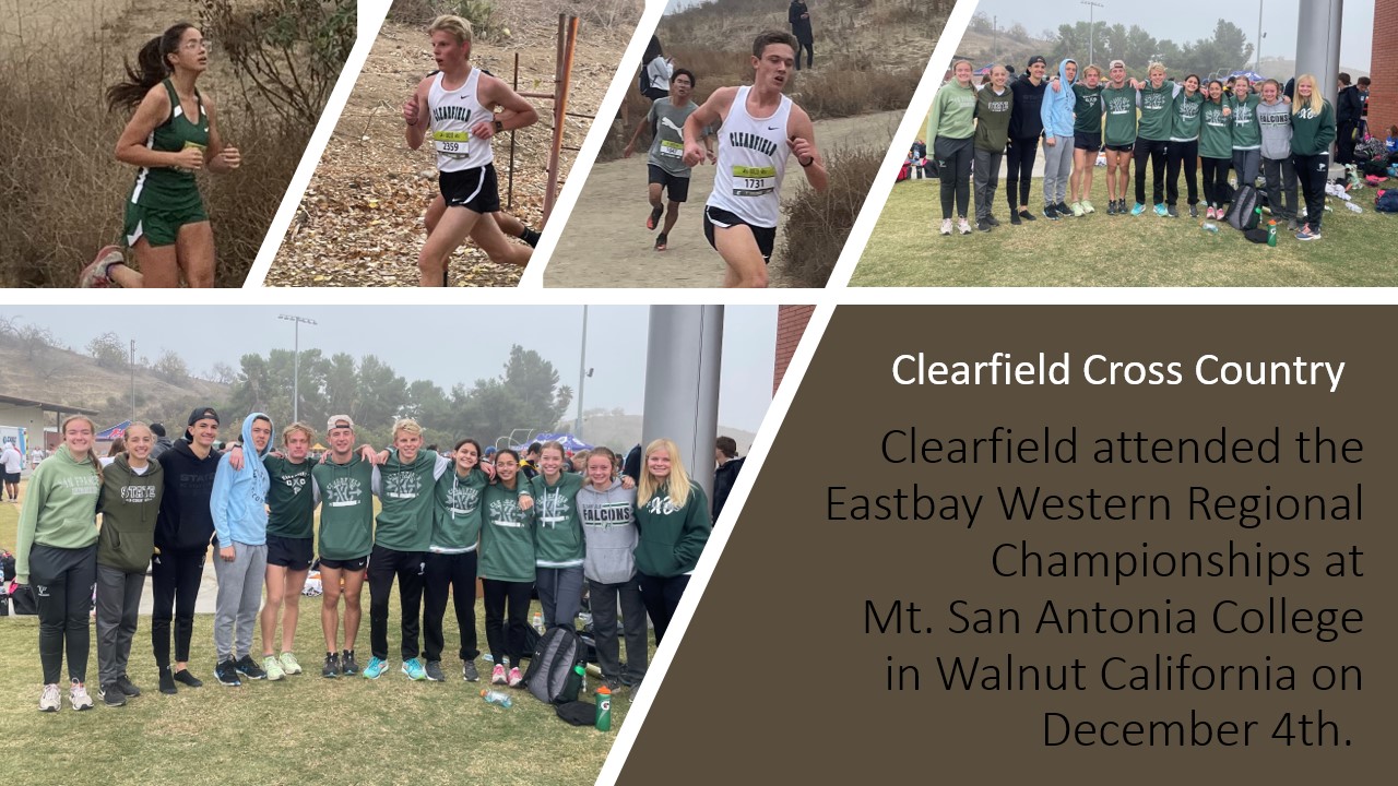 Clearfield - Team Home Clearfield Falcons Sports