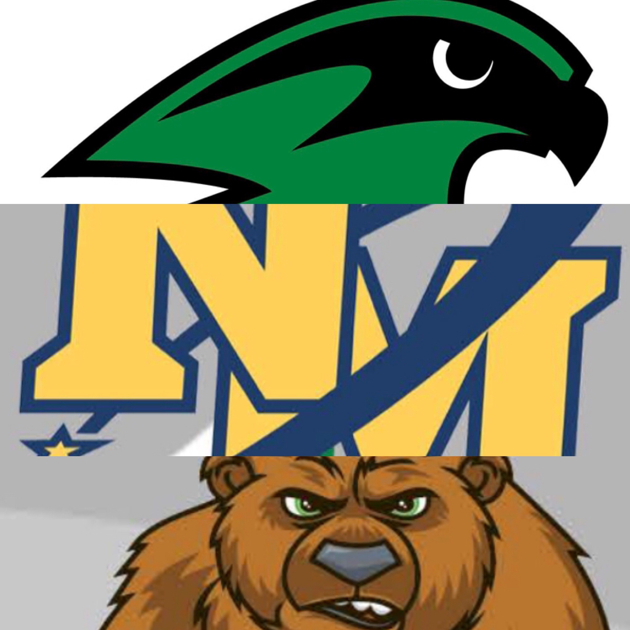 Staley - Team Home Staley Falcons Sports