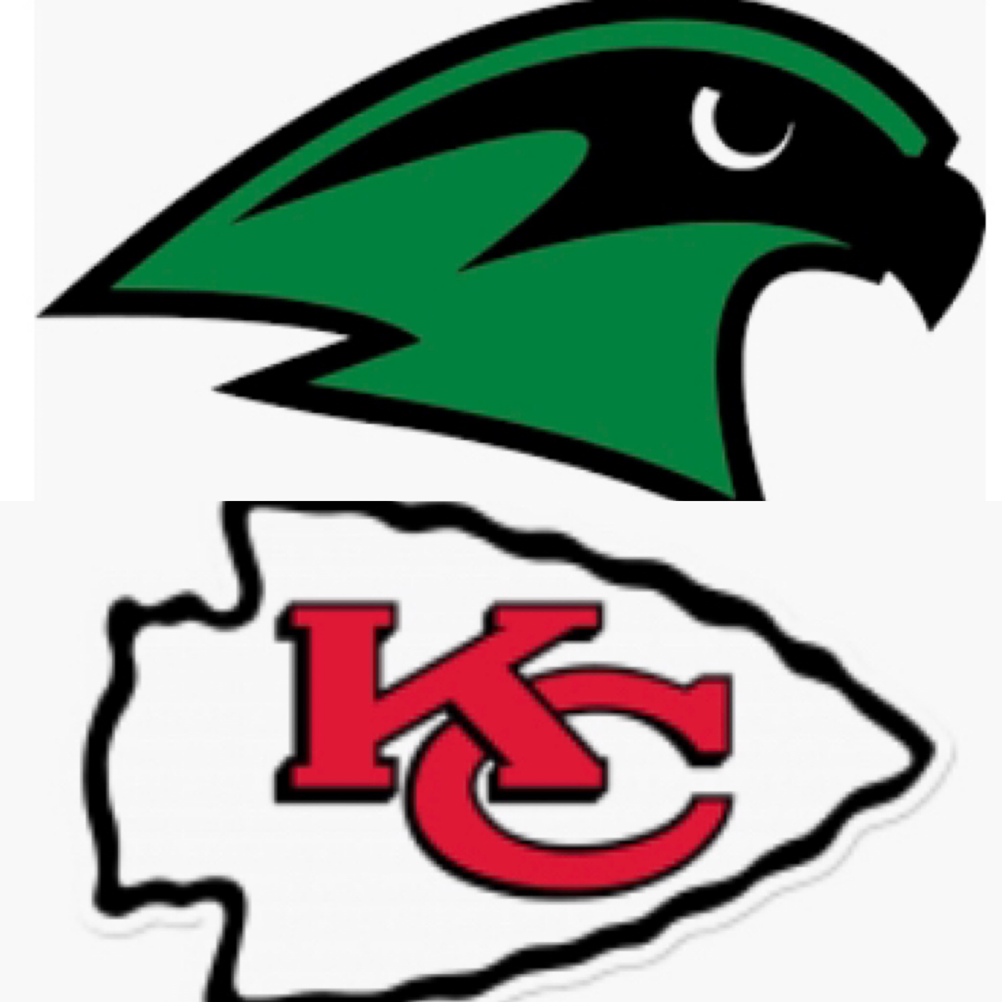 Staley - Team Home Staley Falcons Sports