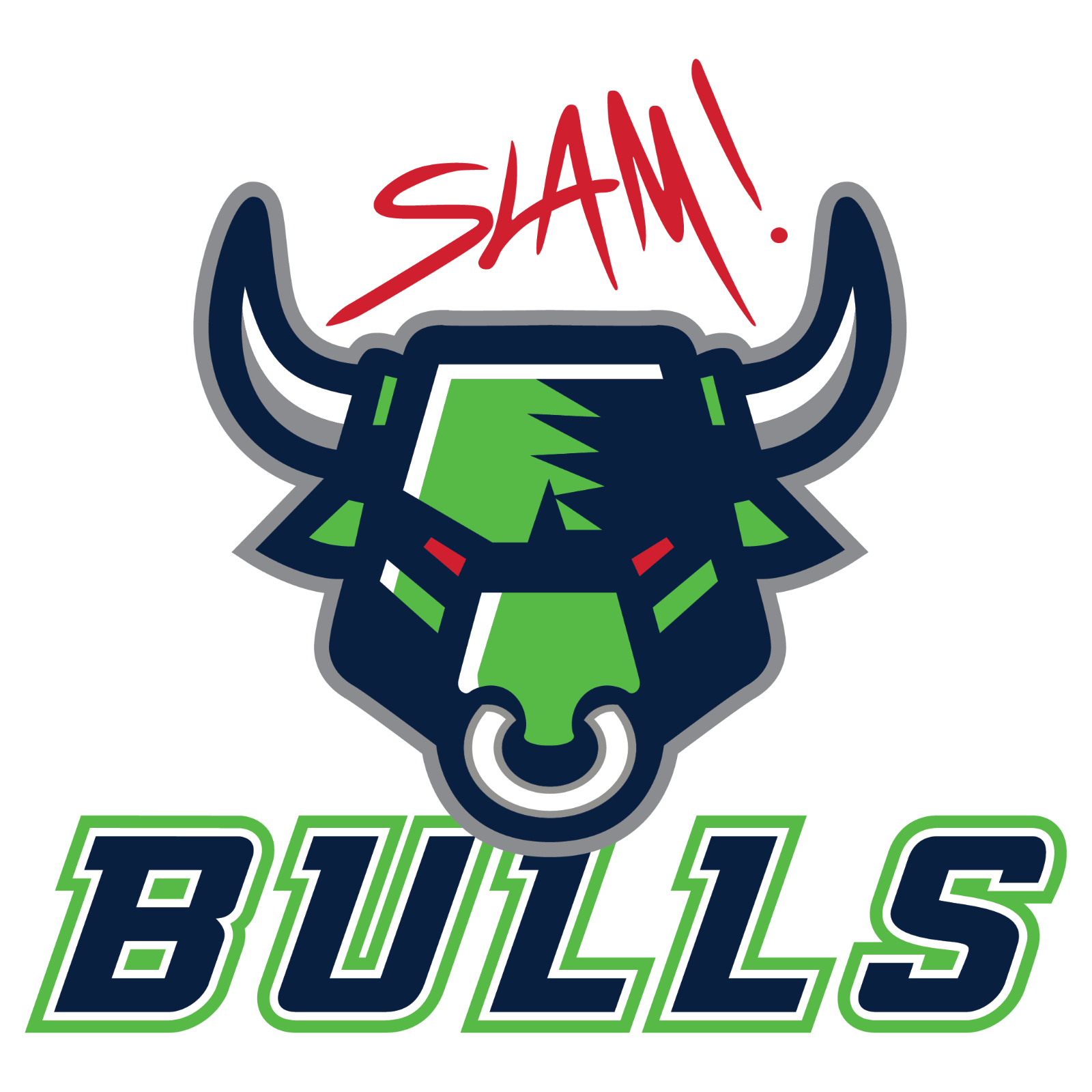 SLAM! Charter School - Bulls Official Athletic Website
