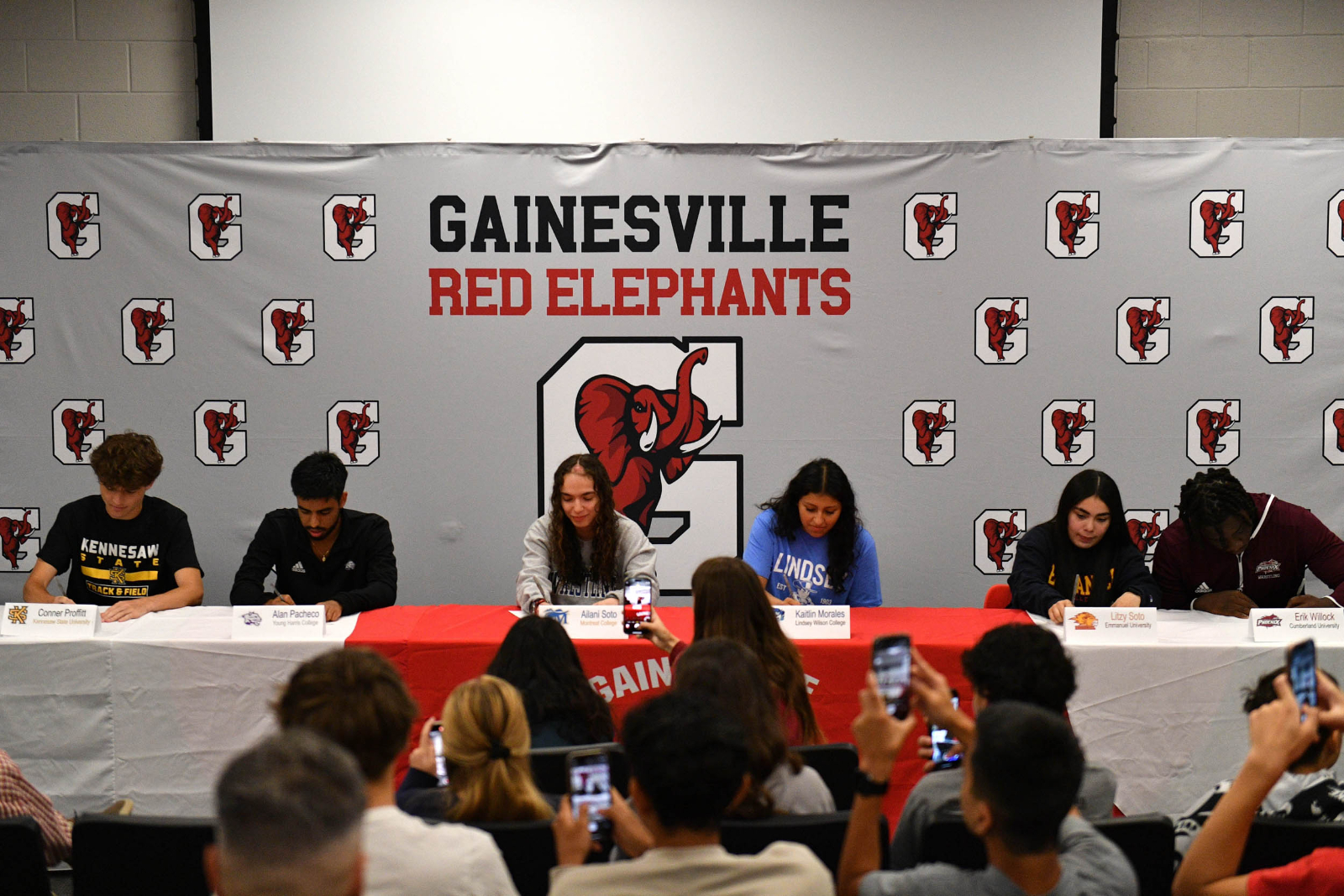 Gainesville - Team Home Gainesville Red Elephants Sports