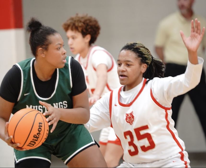 Rome - Team Home Rome Wolves Sports