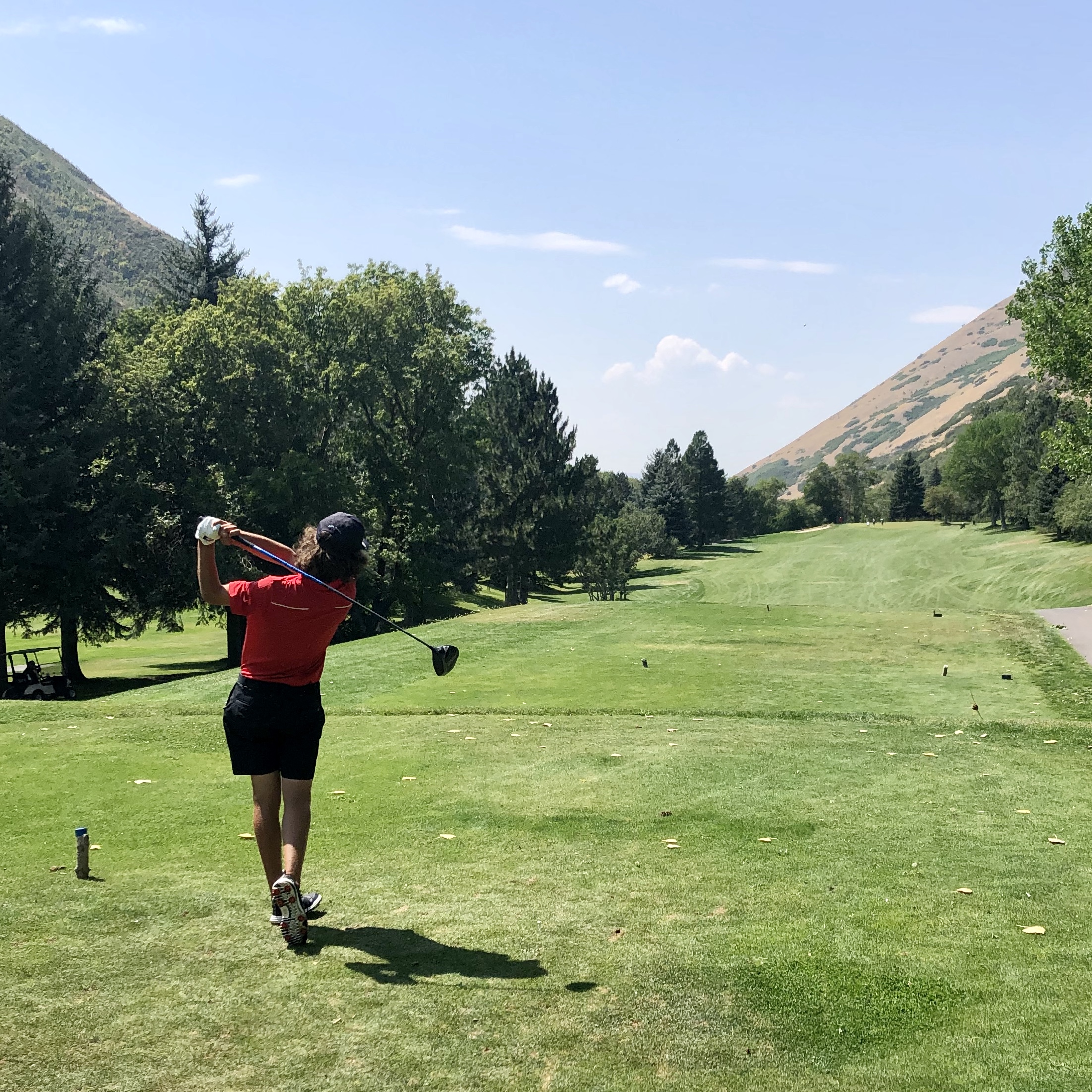 Alta - Team Home Alta Hawks Sports