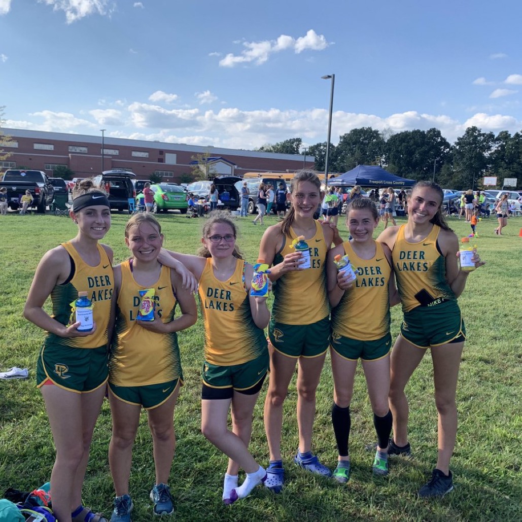 Deer Lakes - Team Home Deer Lakes Lancers Sports