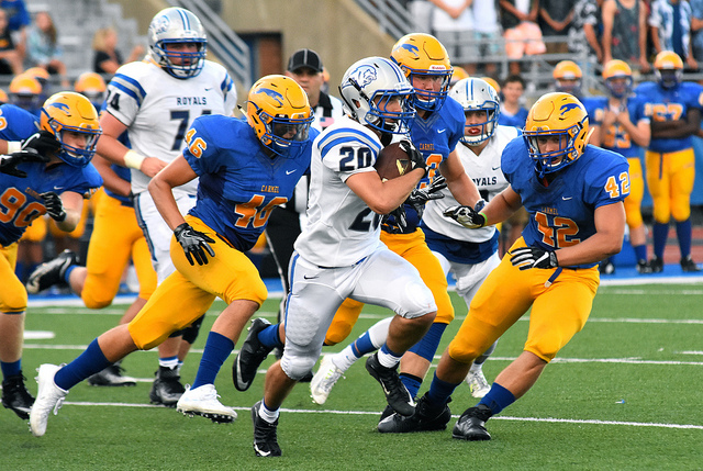 Hamilton Southeastern - Team Home Hamilton Southeastern Royals Sports