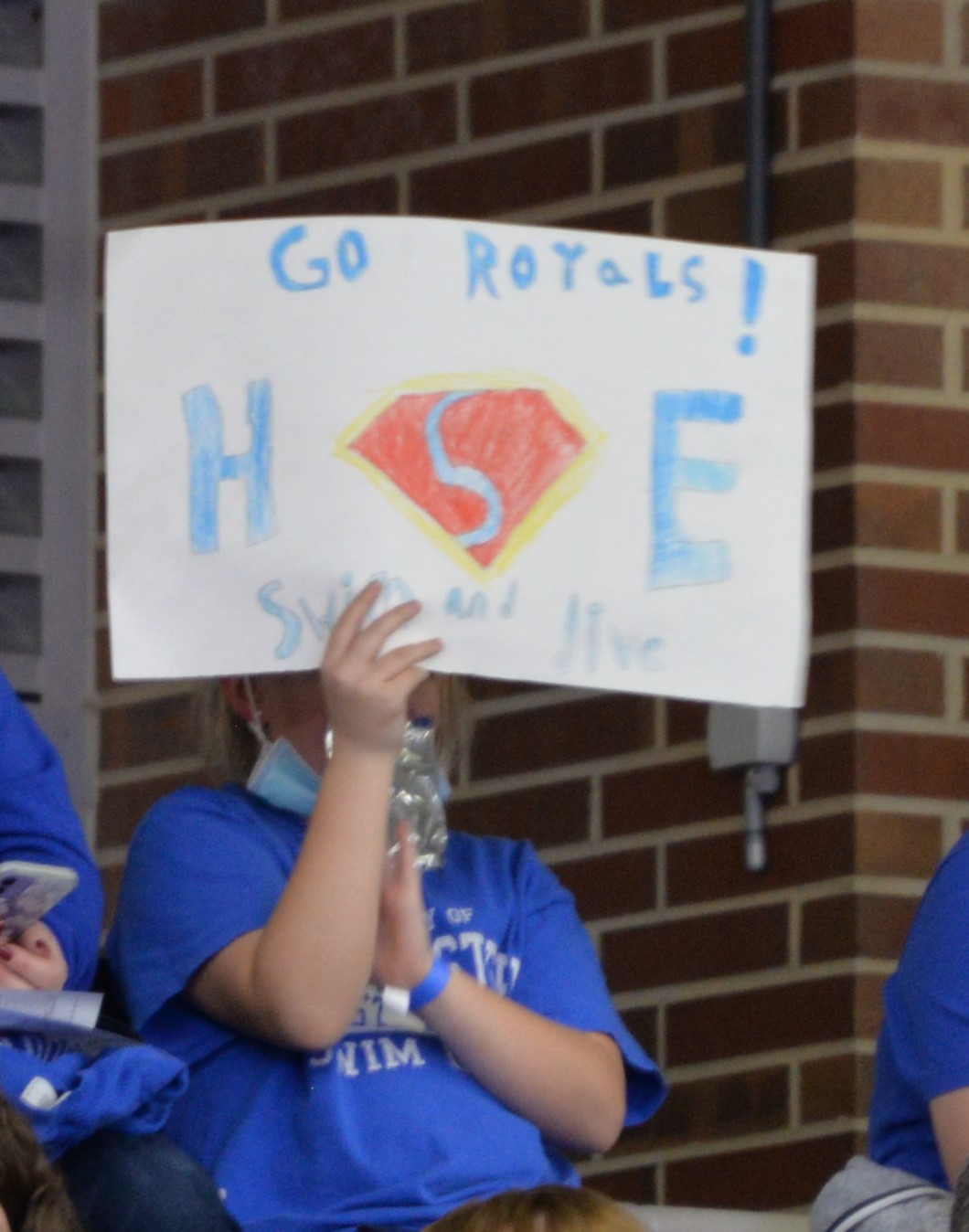 Hamilton Southeastern - Team Home Hamilton Southeastern Royals Sports