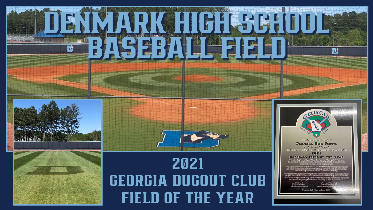 Denmark - Team Home Denmark Danes Sports